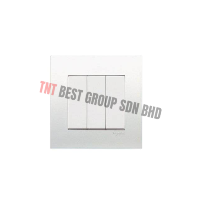 Schneider Gang Switch – TNT BEST GROUP SDN BHD